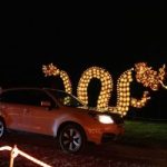 Pumpkinferno - Discovery Harbour